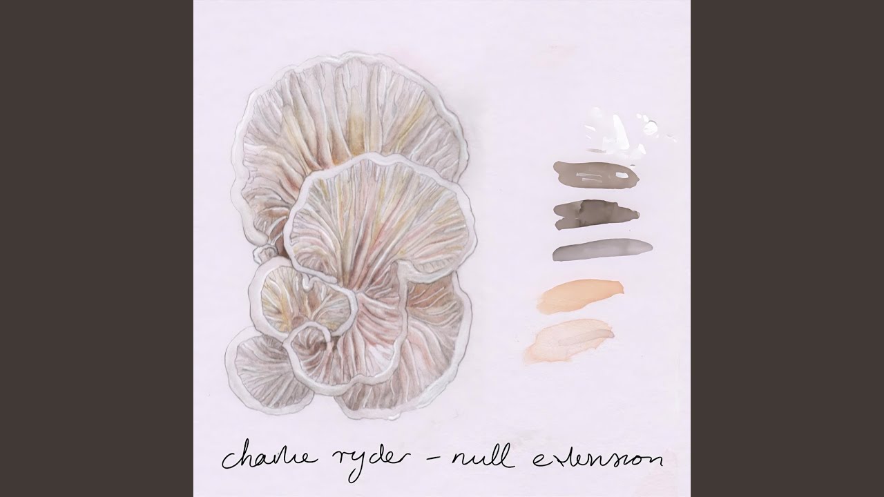 Null Extension - YouTube