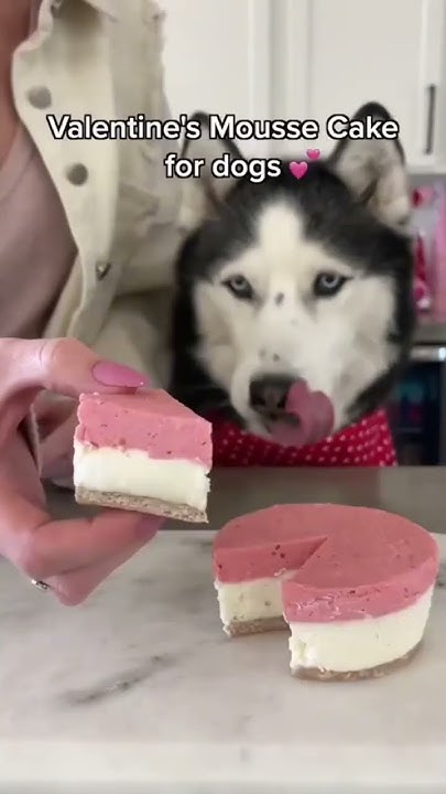 Funny dog video# funny animals videos #pets funny #funnydog #funnyanimals #cutedog #dogs # ...