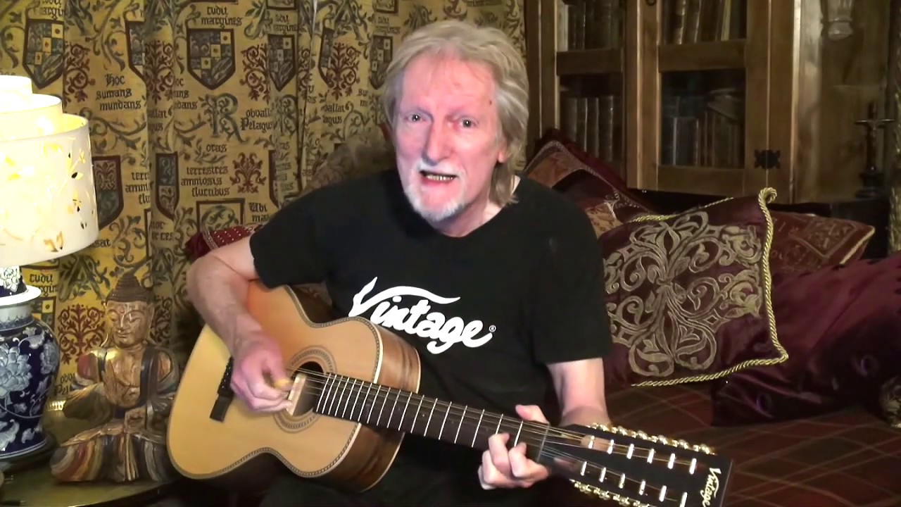 Updated Paul Brett Vintage 12 string electro-acoustic guitar - Tribute ...