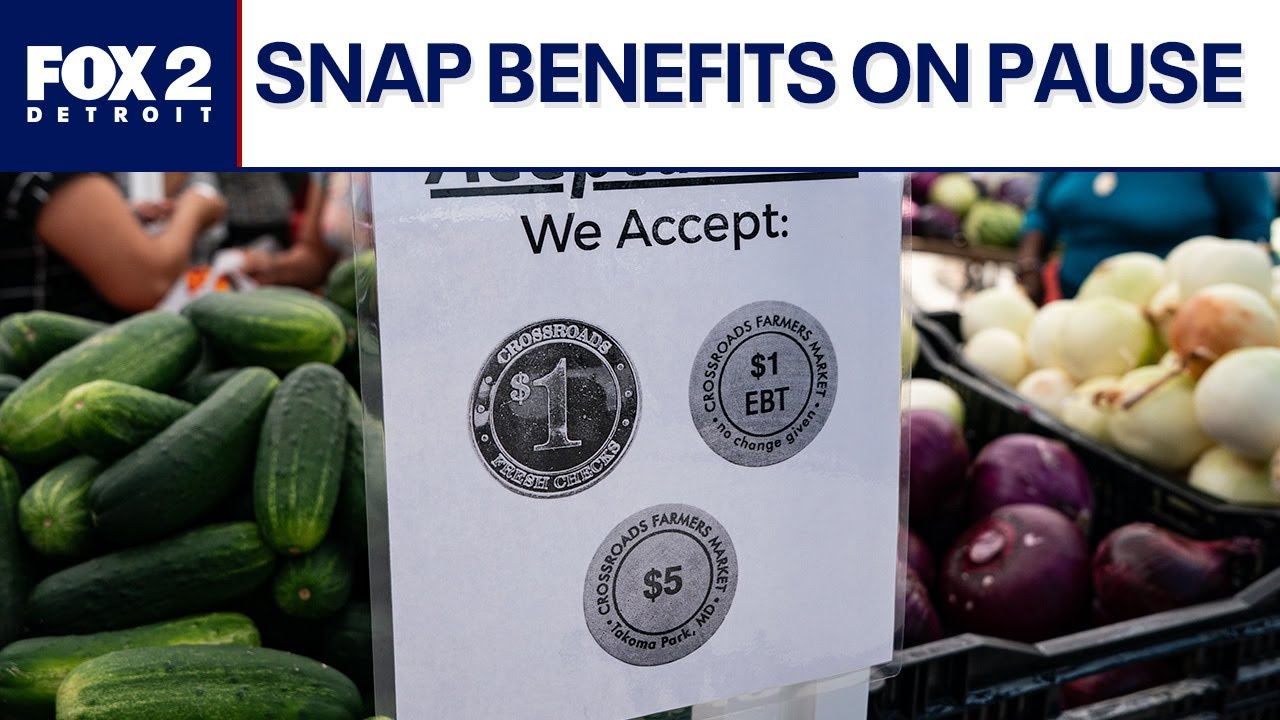 SNAP benefits pause in Michigan amid shutdown impacts - YouTube