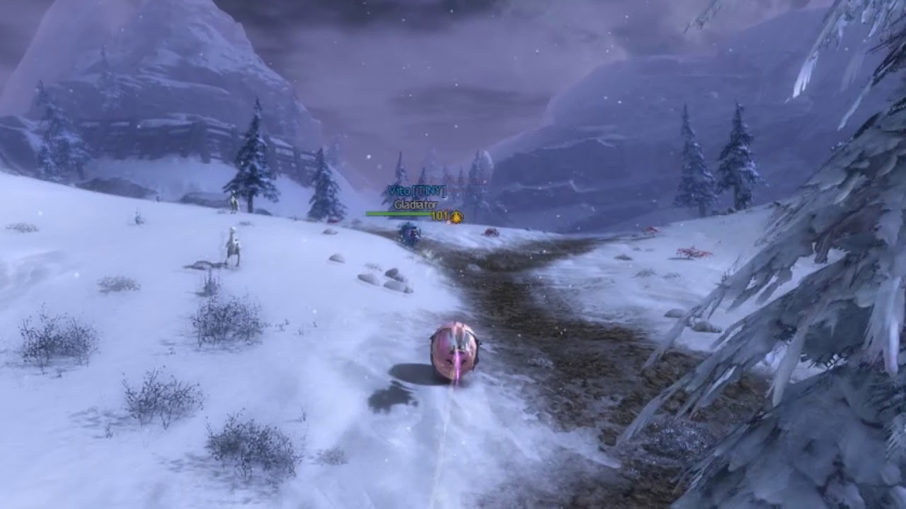 [TINY] Roller Beetle Racing - Gw2 - YouTube