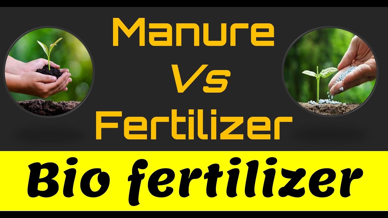 Difference among Manure, Fertilizer and Bio-Fertilizer (Manure Vs ...