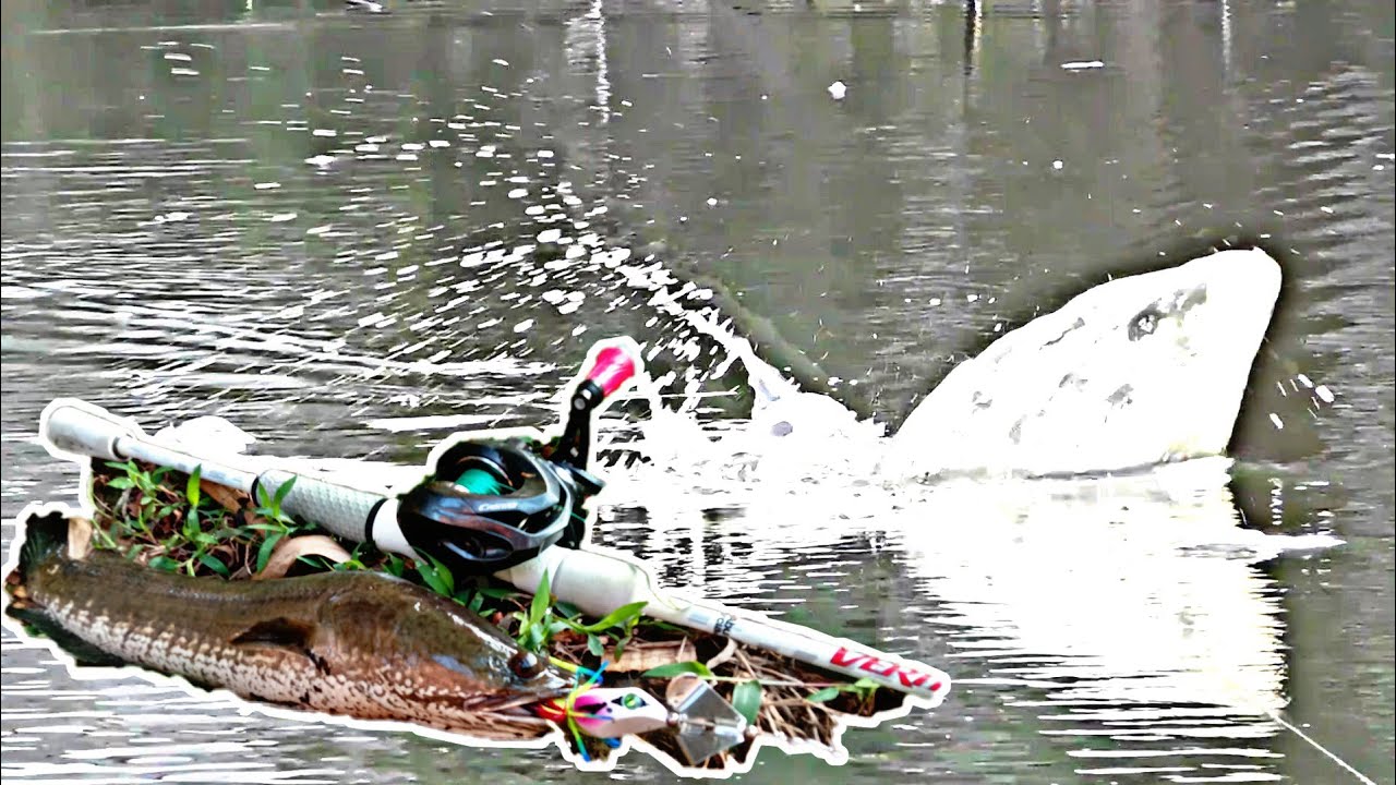 Mini Slater DM Lure || ikan Gabus Empang - YouTube