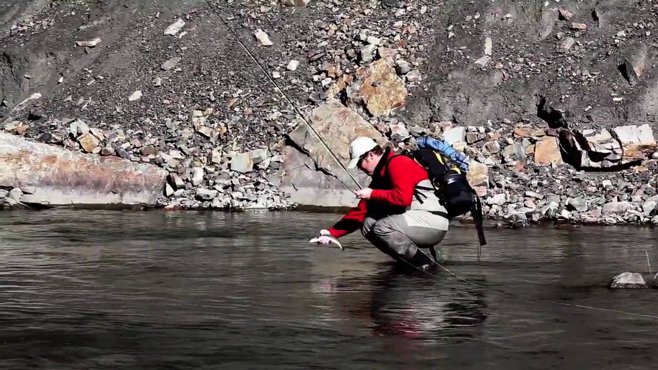 In the Canyon --- Ram River, Alberta, Canada - YouTube