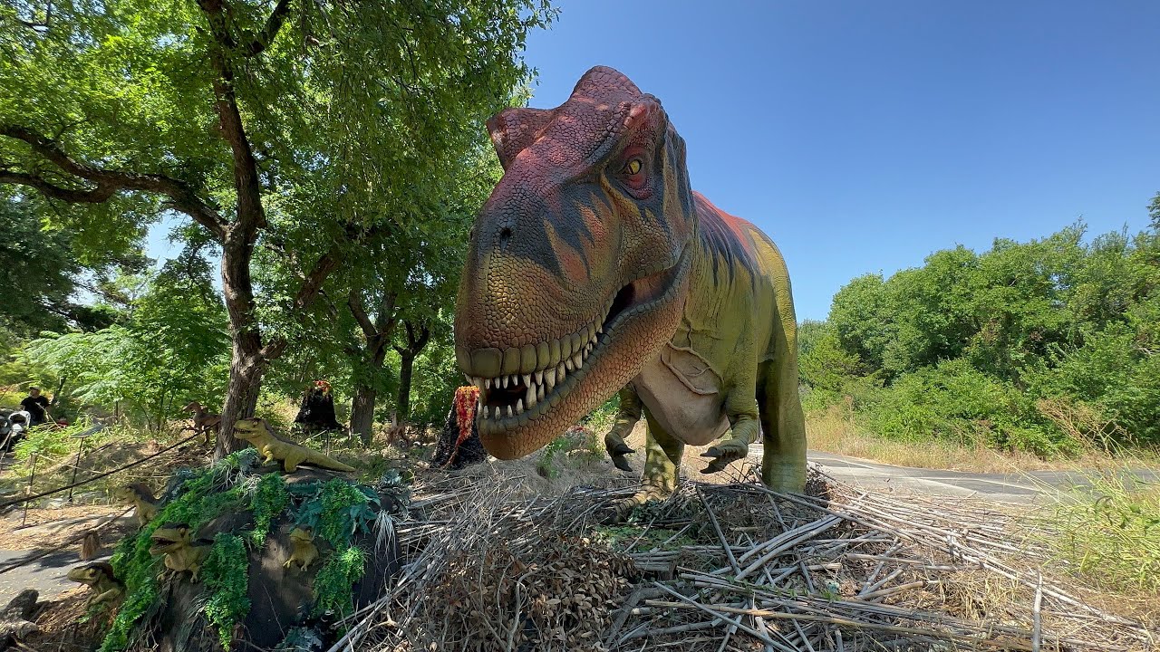 New 2024 Destination Dinosaurs Exhibit at the Dallas Zoo Walkthrough ...