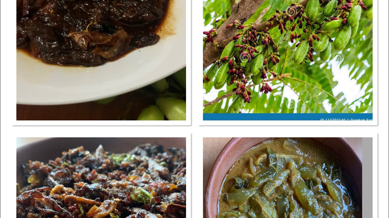 Bilimbi fruit Recipes | Biling Recipes #bilimbi #bilimbipickle # ...