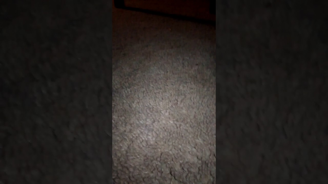Watch Me Pee Pee Watch Me Do Do Youtube