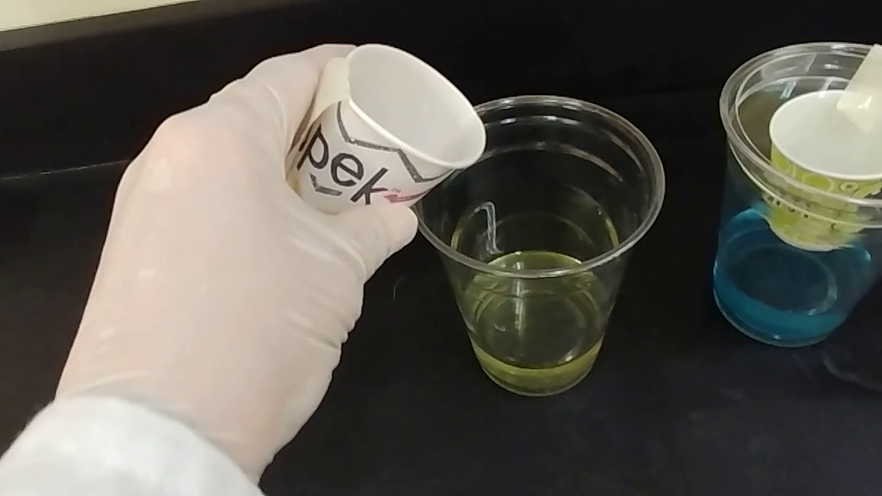 Ocean acidification in a cup ...make a prediction - YouTube