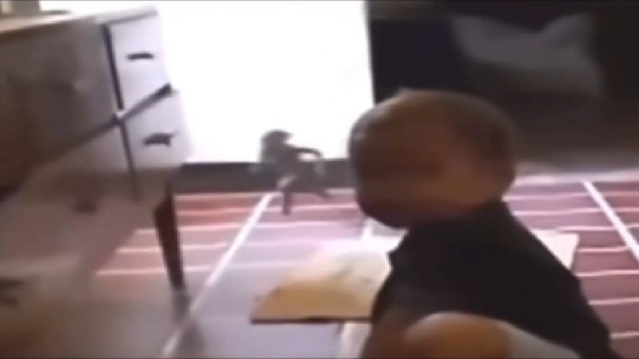 Real Garden Gnomes Caught on Camera - YouTube