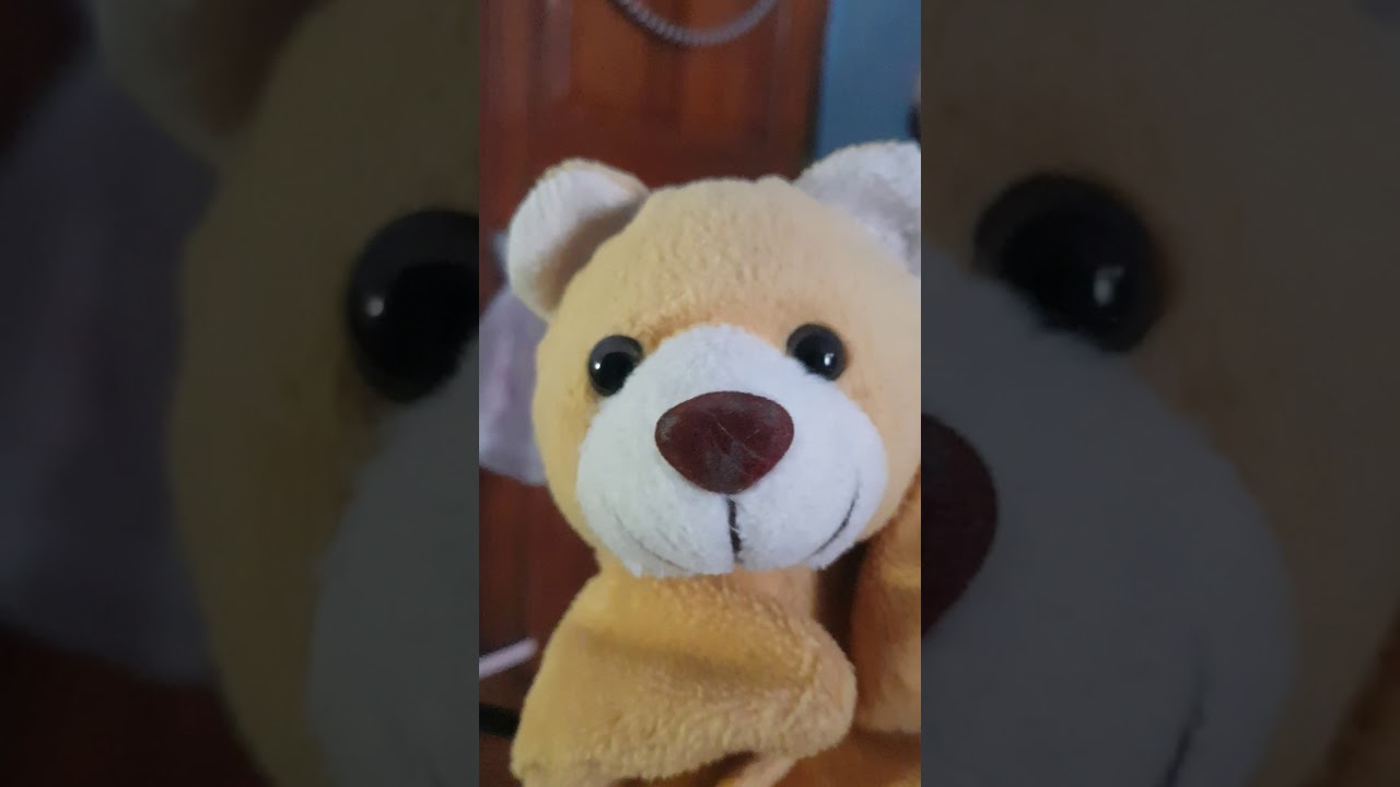 Bear puppet video - YouTube