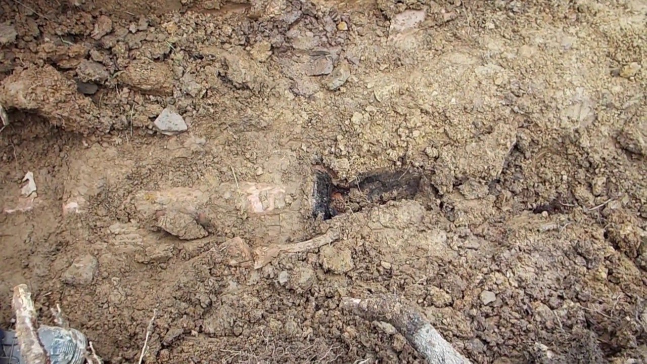 8 Inch Vitrified Clay Sanitary Sewer Pipe & Maple Root Balls - 1966 ...