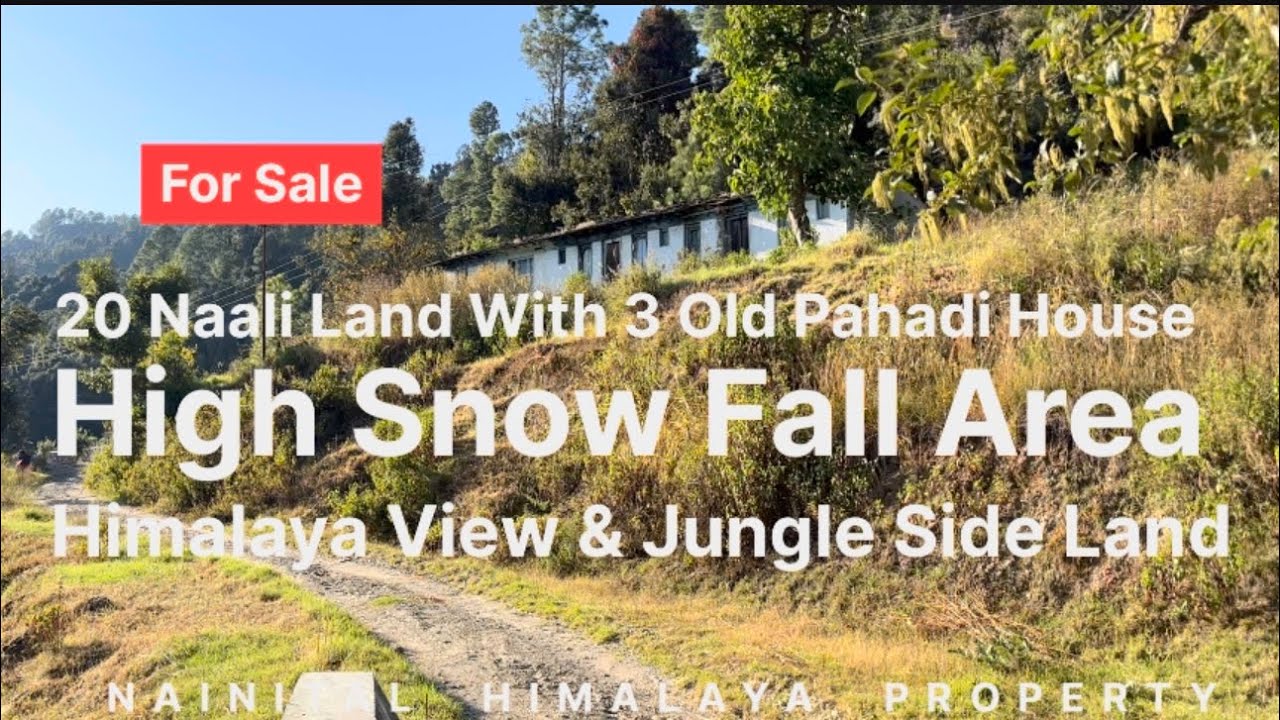 20 Naali Land | Land for sale | With Pahadi House | High snow fall area ...