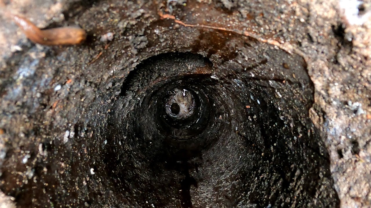 Mission Impossible? Not for Jetter 2 💪 Blocked Soil Stack/Interceptor ...