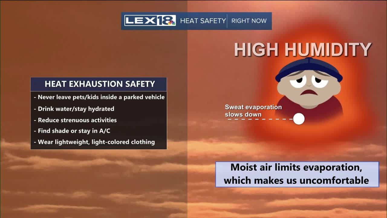 Hot & humid Friday - YouTube