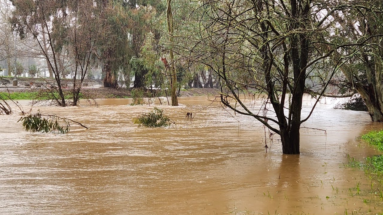 GILROY FLOODING AGAIN! Highway 101 shut down - YouTube