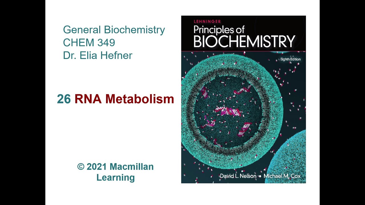 Chapter 26 - RNA Metabolism - YouTube