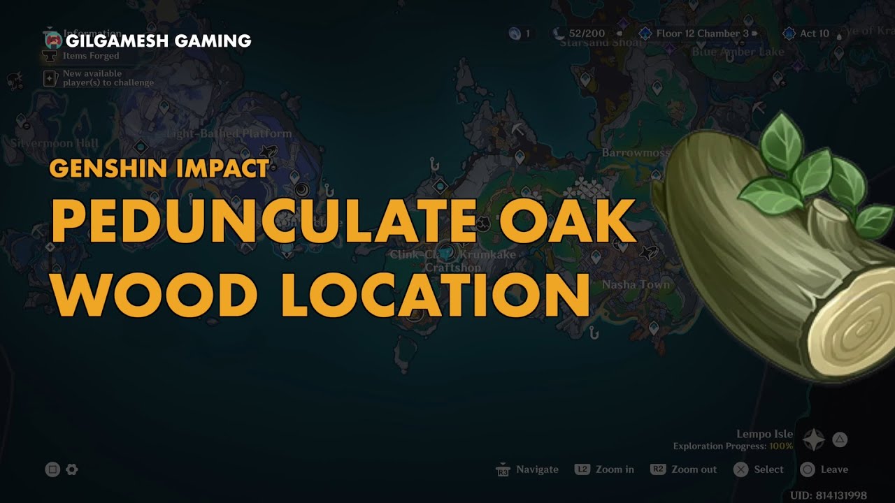 Pedunculate Oak Wood Farming Route | Genshin Impact Nod-Krai - YouTube