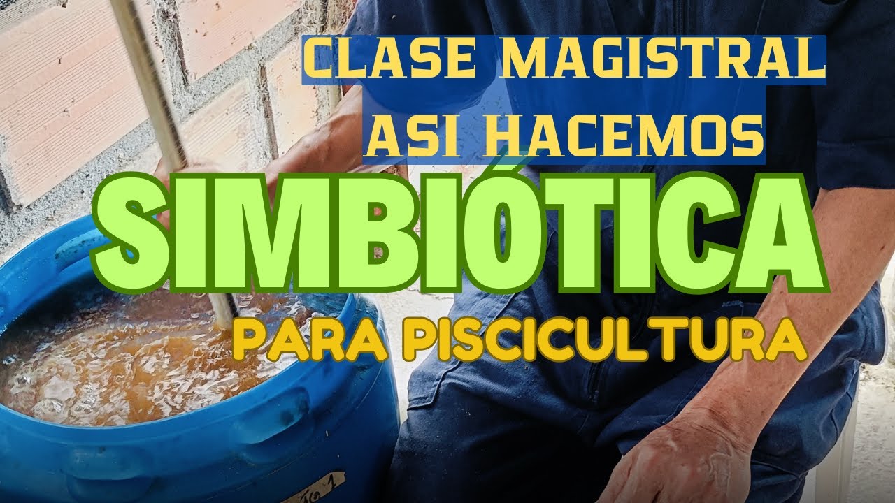 ASÍ SE HACE SIMBIÓTICA EN PISCICULTURA - YouTube