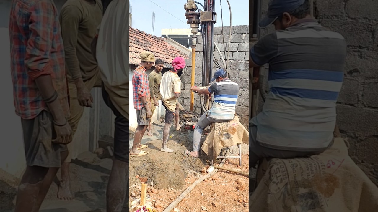 Water boar#Shorts#viral#trending - YouTube