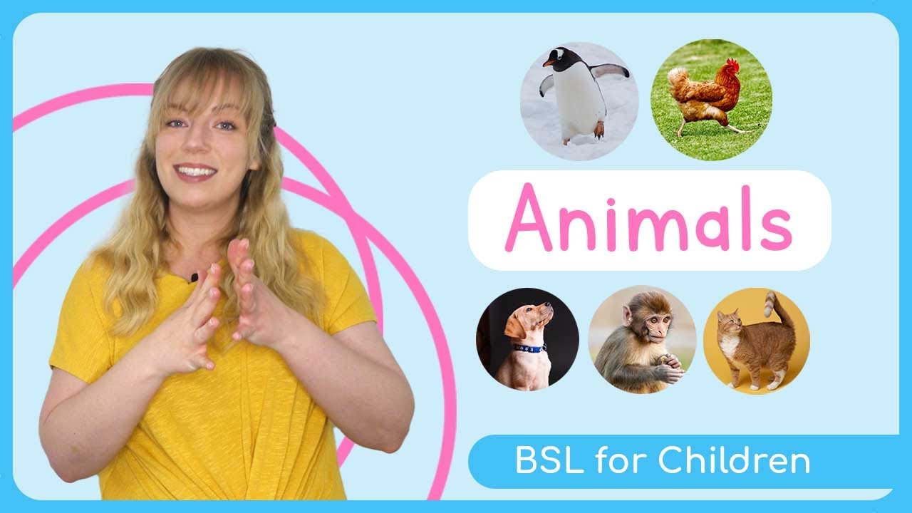 Sign Language for Children | Animals | BSL for Kids - YouTube