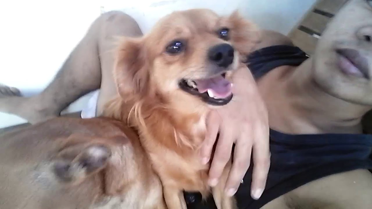 Back to work bantay aso 😊😊🐩🐩 - YouTube