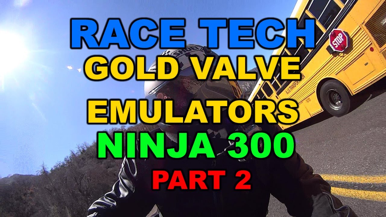 Race Tech Gold Valve Emulators and Springs Review Part 2 - YouTube