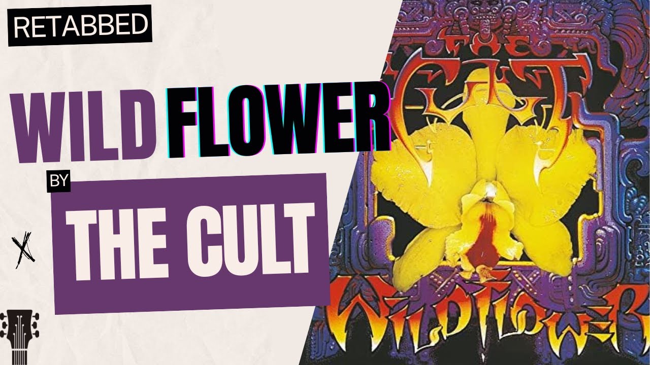 The Cult – Wild Flower | Guitar Tab | Guitar Tutorial - YouTube