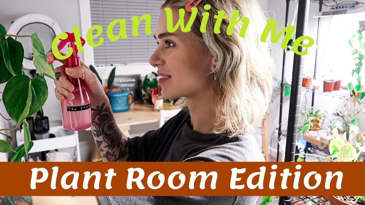 Clean + Organize My Plant Room With Me 🧼 - YouTube