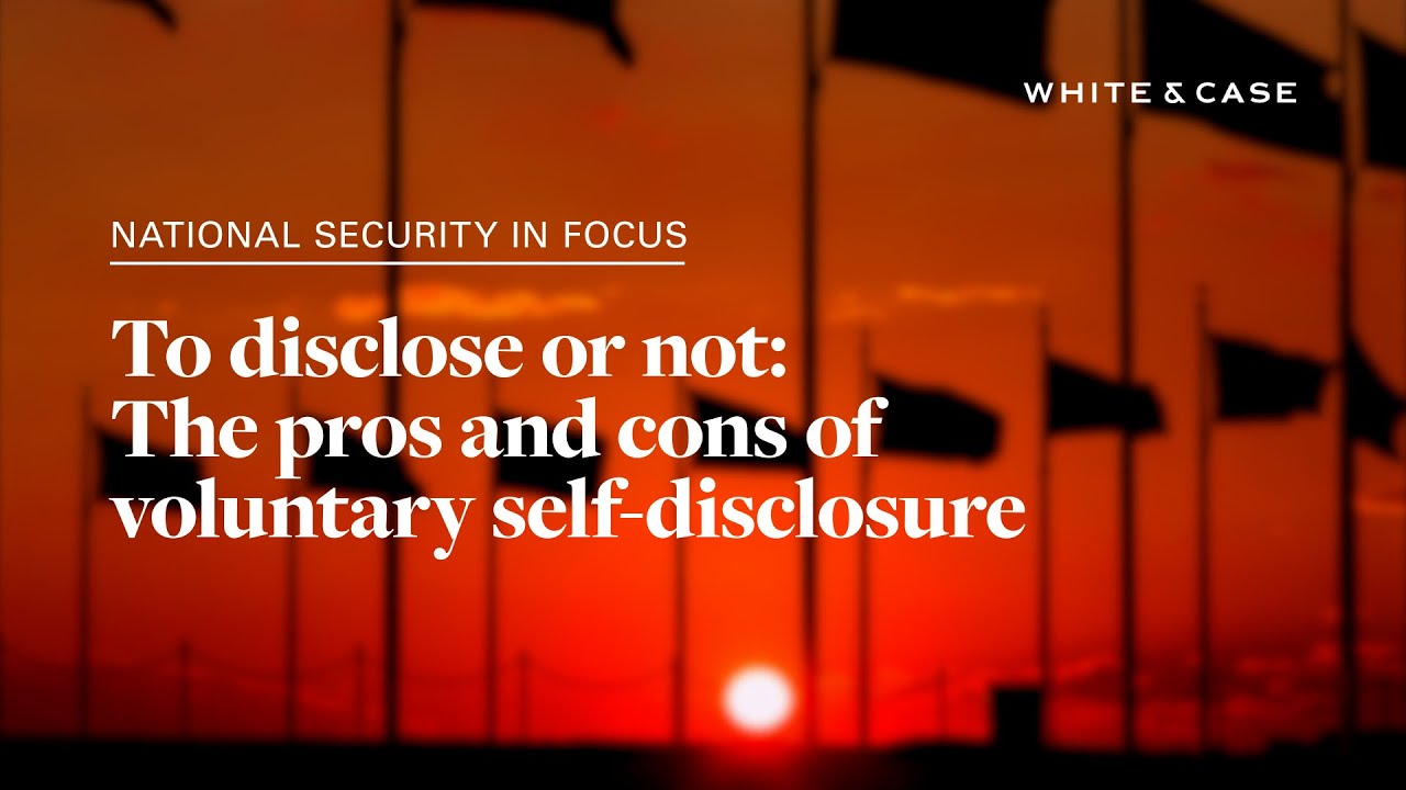 To disclose or not: The pros and cons of voluntary self-disclosure ...