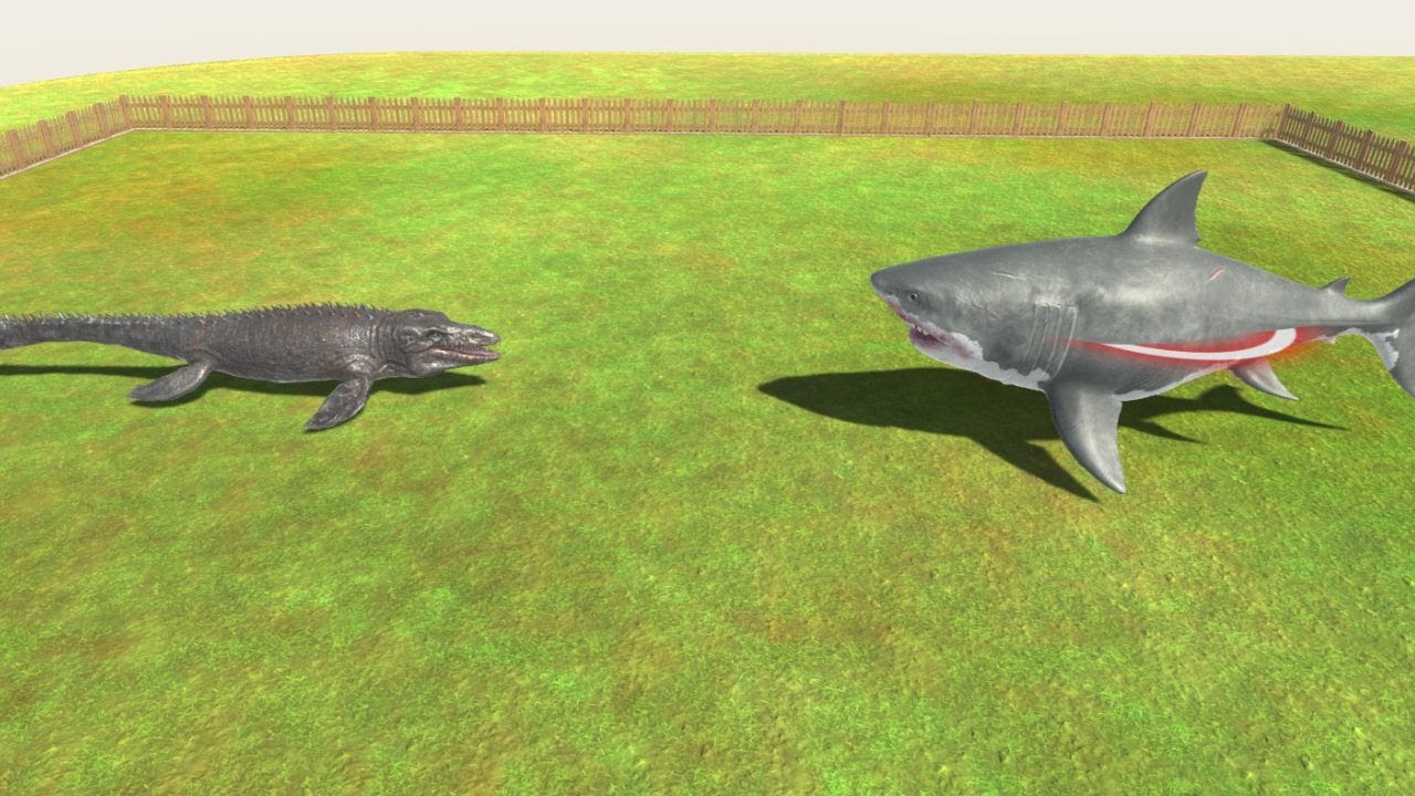 1 vs 1 ARBS tournament animal revolt battle simulator competition fight ...