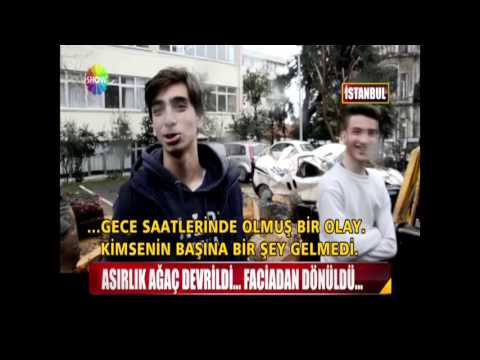 Asırlık ağaç devrildi... Faciadan dönüldü...