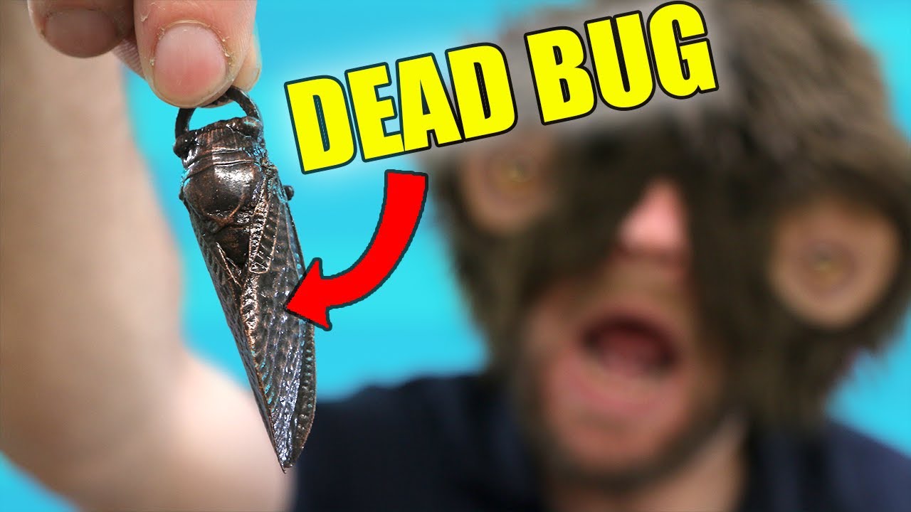 How I Turn a DEAD BUG into JEWELRY with electricity | Copper ...