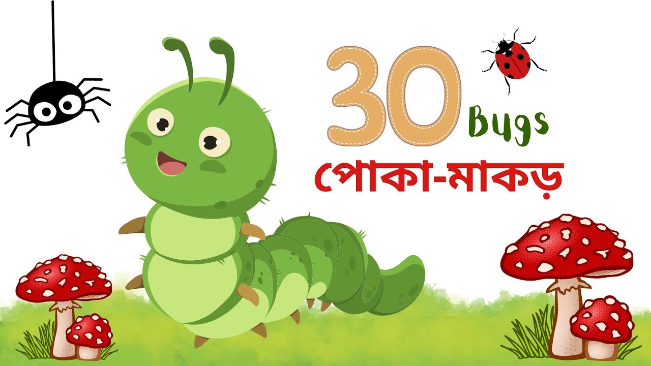 30টি পোকামাকড়ের নাম- কীট-পতঙ্গর নাম - Learn Bengali & English names of ...