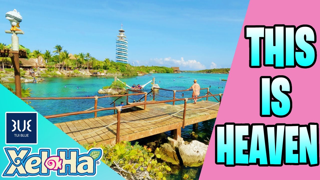 Xel Ha Mexico Tui Blue Best Excursion - YouTube