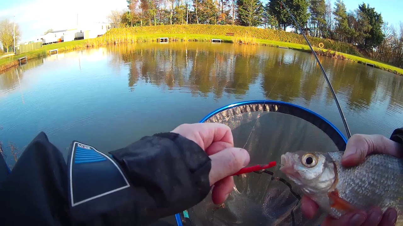 Pole Fishing; Feeding and using Expander Pellets on the Hook in Winter ...