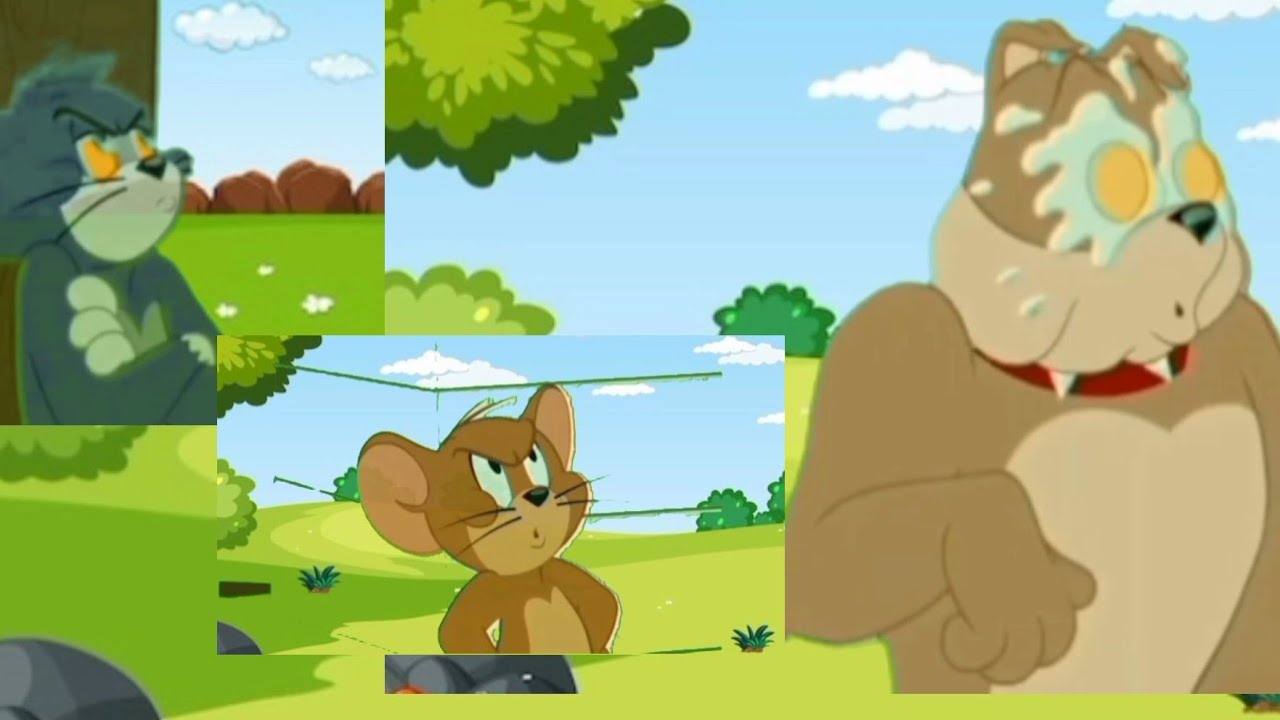 টমের অত্যাচার |Tom & jerry |Noakhali Funny Cartoon - YouTube