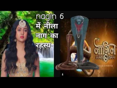 nagin 6 : खुल गया नीले नाग का रहस्य || Raghu ka sach kya hai | tejaswi ...