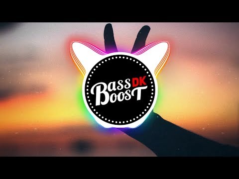ADHD - V For Sejr (ft. Rasmus Paludan) (Lyriks) [Bass Boosted]