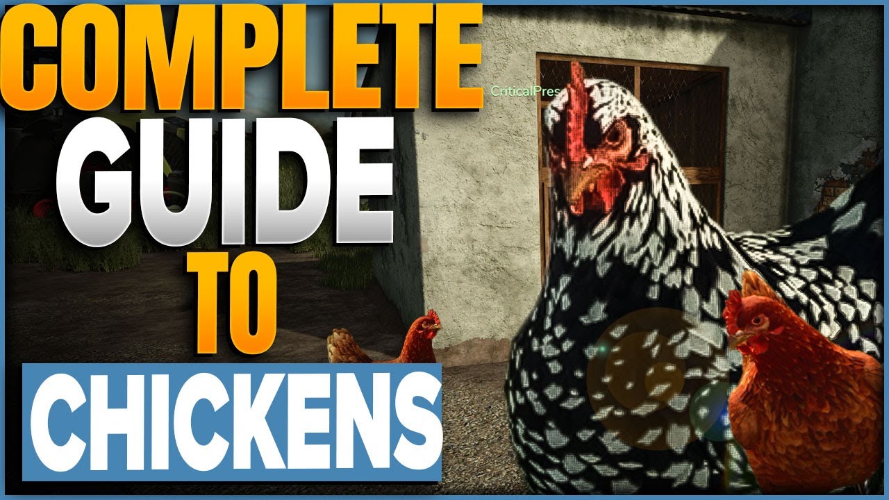 The Complete Guide To Chickens In Farming Simulator 25 - YouTube
