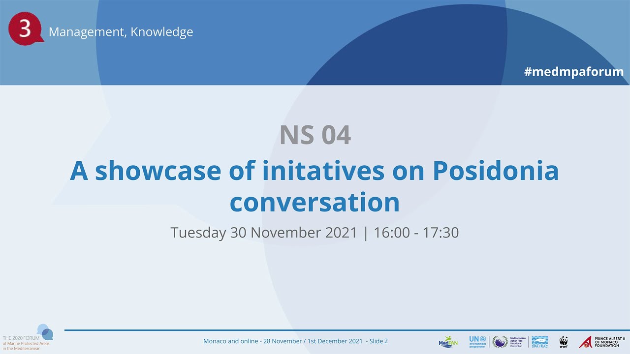 NS04 - MPA Forum 2020 - YouTube