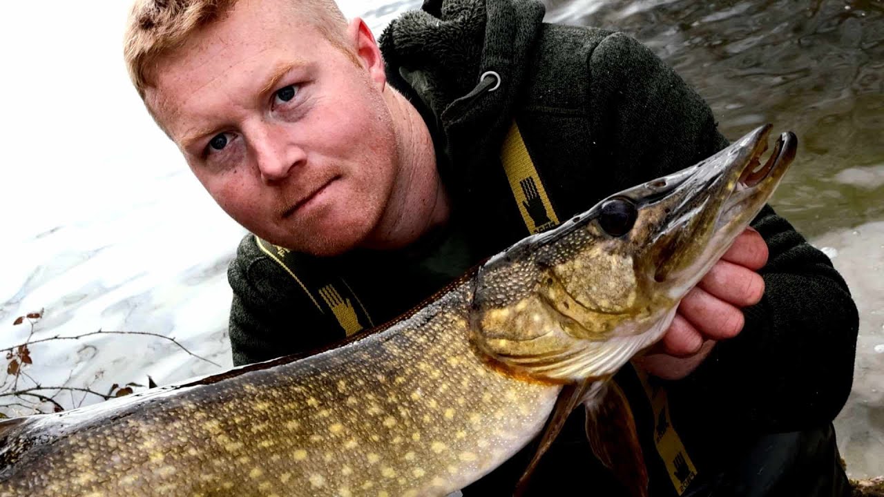 AMAZING UNDERWATER FOOTAGE! Dead baiting and Lure fishing for Pike ...