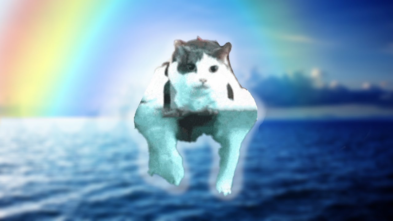 this cat is s (extended) - YouTube