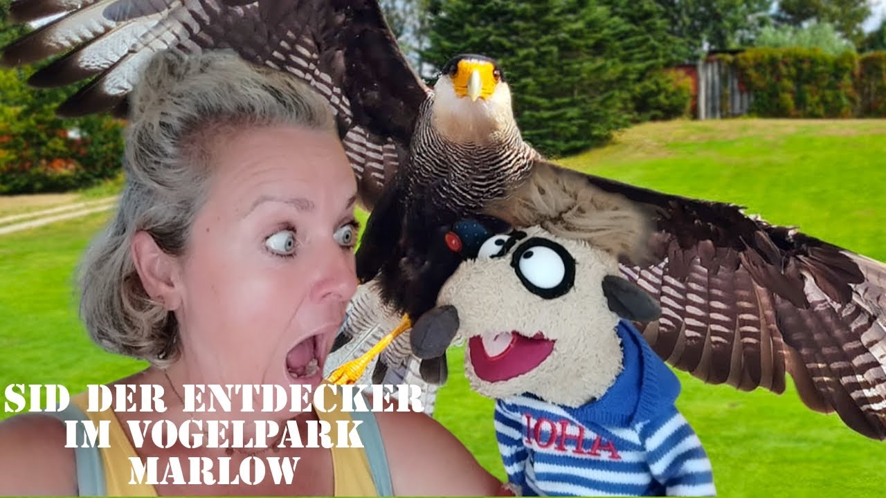 Sid der Entdecker im Vogelpark Marlow - YouTube
