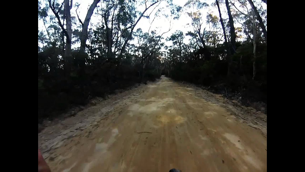 Roo chasing In the Blue Mountains - YouTube