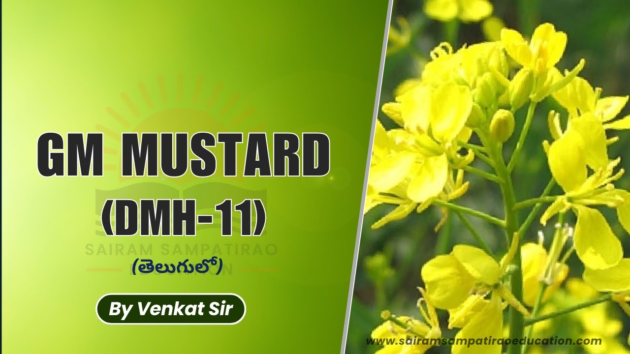 UPSC Daily Current Affairs: Genetically Modified Mustard [Dhara Mustard ...