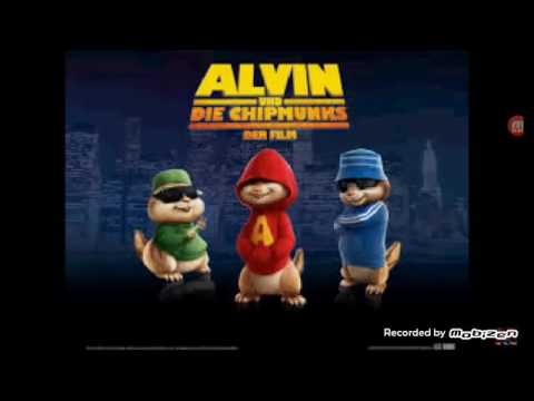 BAS qaza alvin ve sincaplar(2)