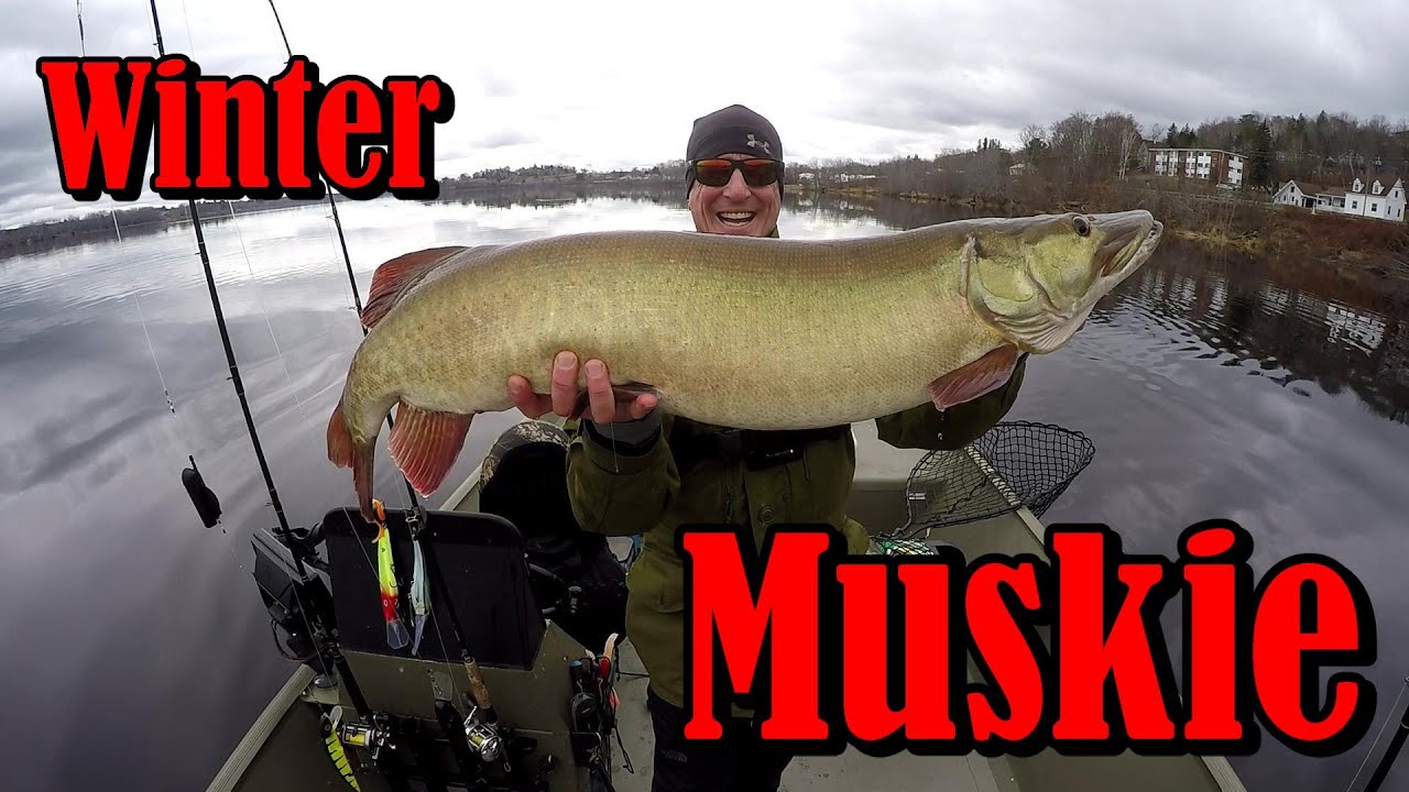 Winter Muskie Fishing Saint John River Canada 2020-Underwater Views ...