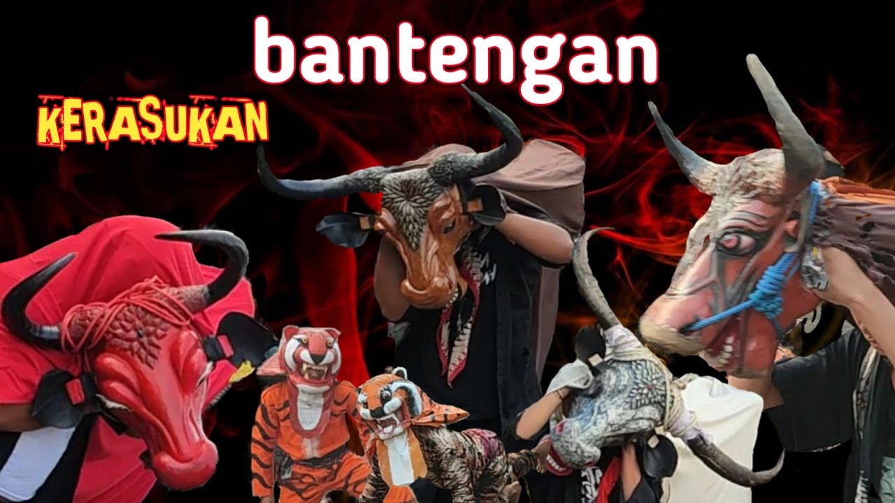 Banteng Mberot Wahyu Manunggal Sejati & Satriya Pandawa live beru kota ...