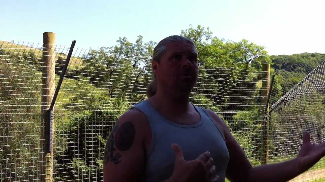 Shaun Ellis wolves howling at The Wolf Centre - YouTube