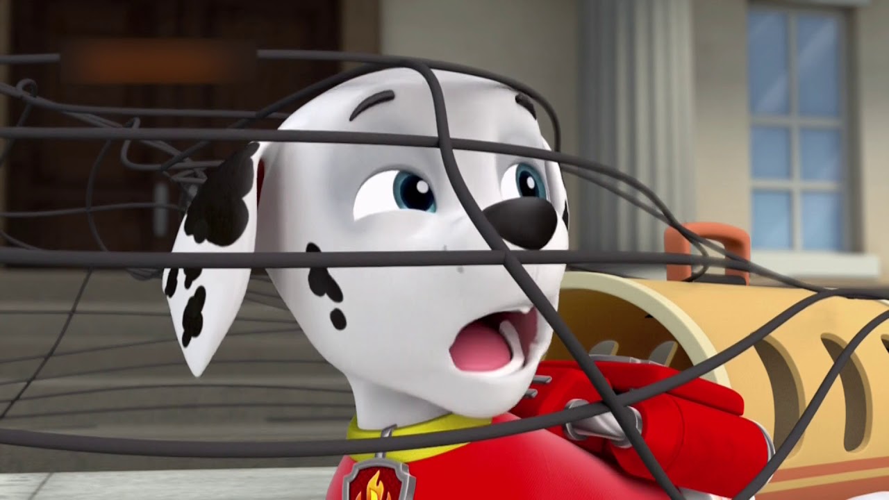 PAW Patrol full HD Pups Team Episode 21 Pups Save a Bat & Pups Save a ...